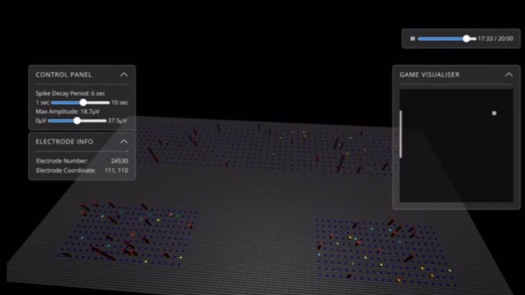 Mini-brain cells are learning Pong much faster than AI - BeyondGames.biz